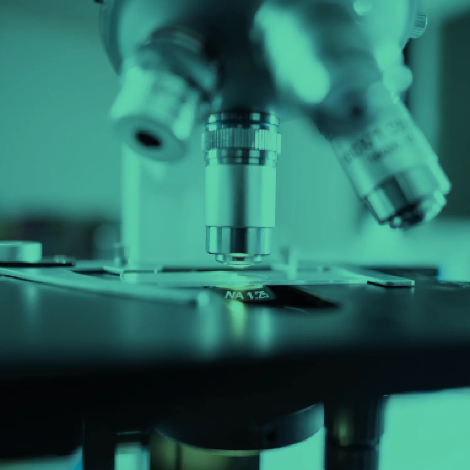 Malaria Research & Learning | Malaria Consortium